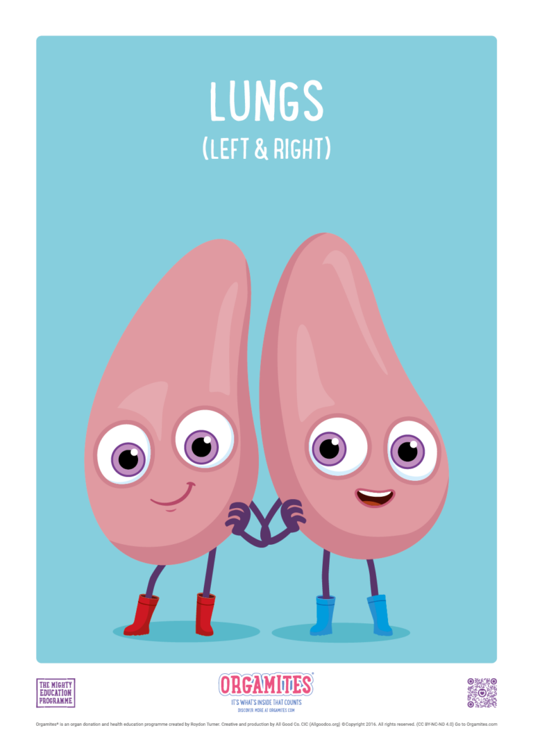 Resources Hub - THE ORGAMITES MIGHTY EDUCATION PROGRAMME